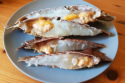 Les Cigales de Mer entières crues 2 kg surgelées